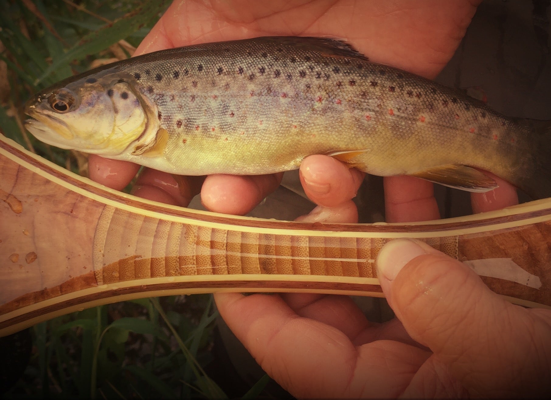 Building a custom wooden Landing Net. - Nets that Honor the Fish